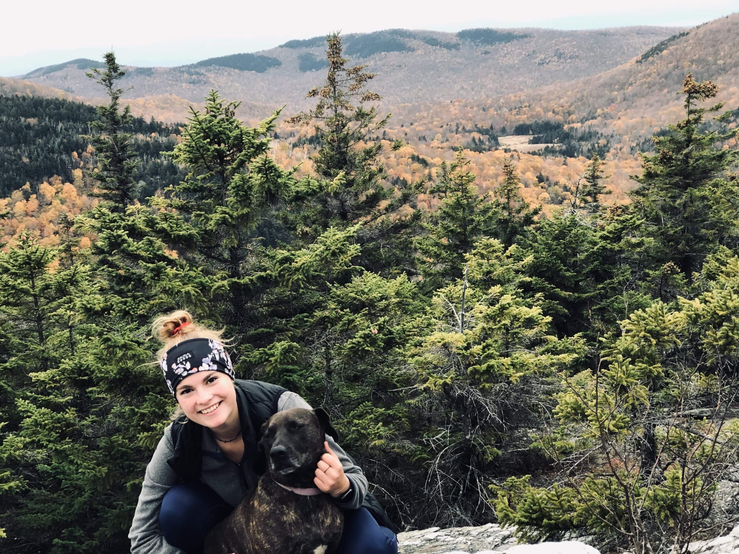 Meet the Team - Colchester Location - Bristol Park Dental